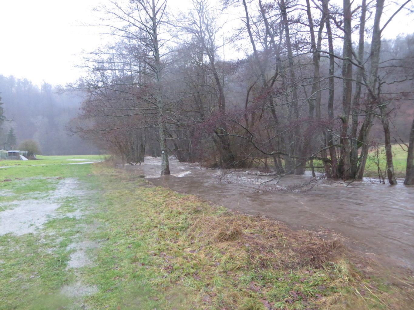 Kleine Nister ganz groß - Limbach im Westerwald