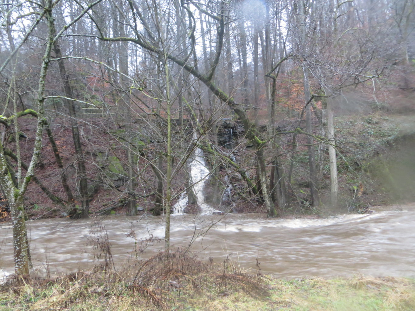 Kleine Nister ganz groß - Limbach im Westerwald